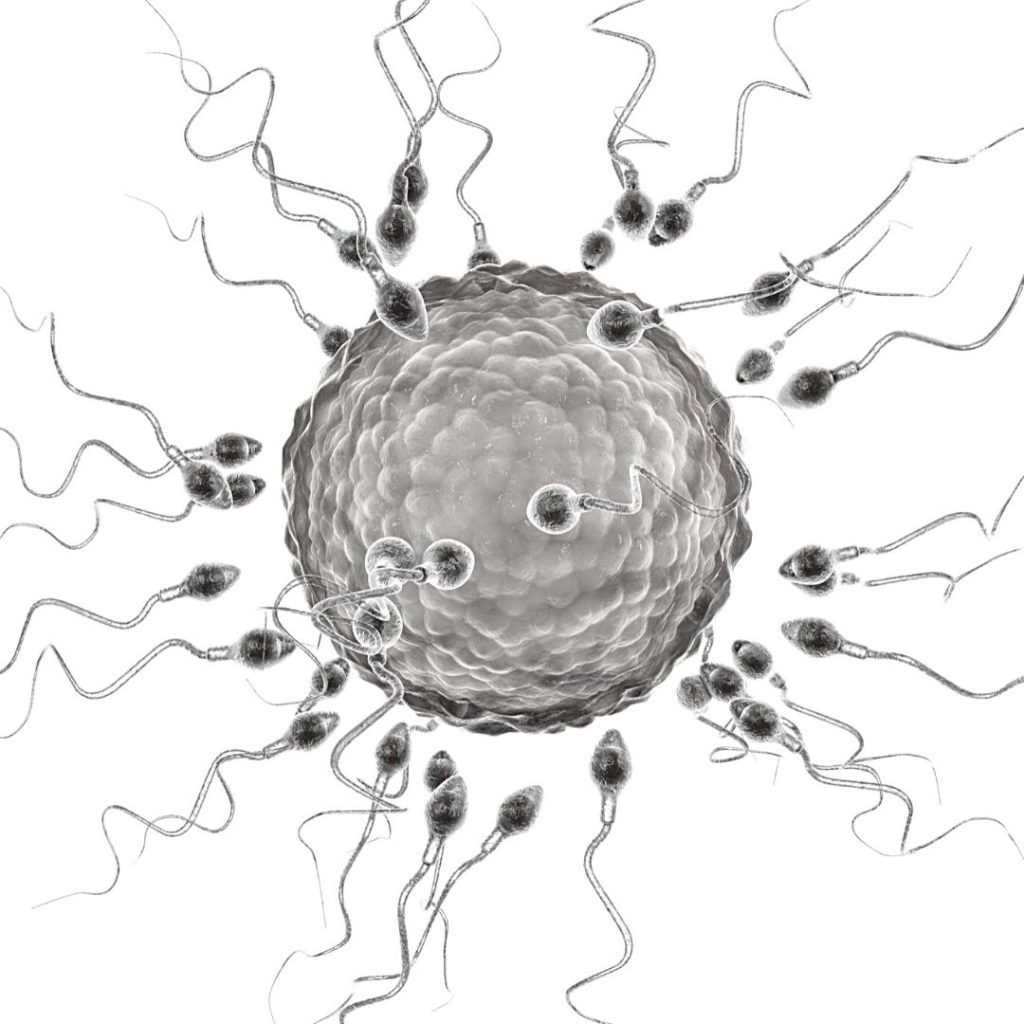 Zymot test - a better way to process sperm - Fertility solutions ...