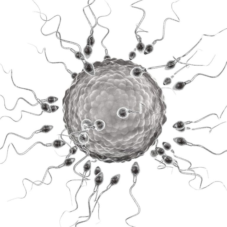 Zymot test - a better way to process sperm - Fertility solutions ...