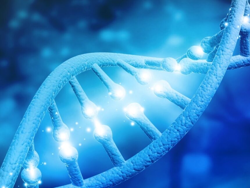 DNA Fragmentation - Fertility Solutions - Leaders in Fertility